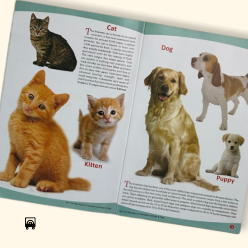 My First Big Book Series – Fun Learning Books For Kids - The Learnery